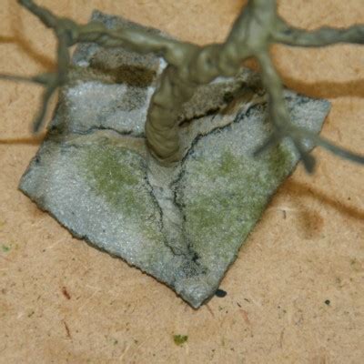 Cheap Easy Way To Make Amazing Miniature Trees How To