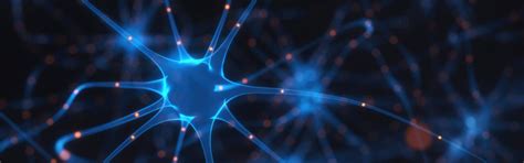 Ectd 4 0 Whats New In The Granularity Update Extedo