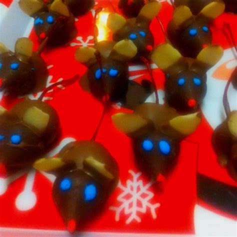 Christmas Mice Shout Out To My Roommates Mom For These Chocolate