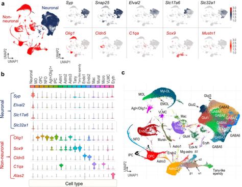Unveiling Hypothalamic Molecular Signatures Via Retrograde Viral Tracing And Single Cell