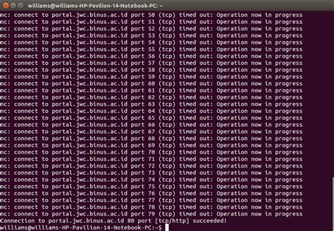 Ethical Hacking Netcat For Banner Grabbing And Port Scanning