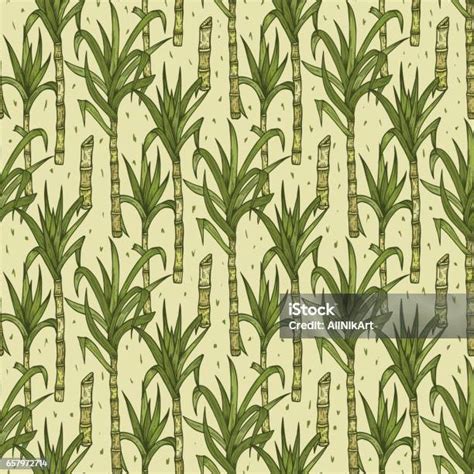 손으로 그린 사탕수수 식물 원활한 벡터 패턴 사탕수수 줄기 잎 끝 없는 배경 0명에 대한 스톡 벡터 아트 및 기타 이미지 0명 긴 꽃무늬 Istock