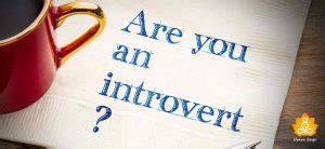 What Are The Different Types Of Introverts