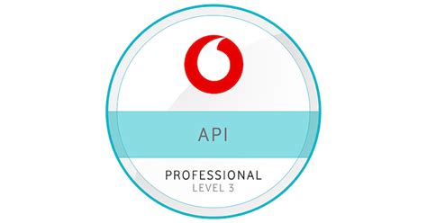 Api Professional Credly