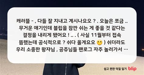 체리도나쓰 접 님이 작성한 세븐틴 팬로그