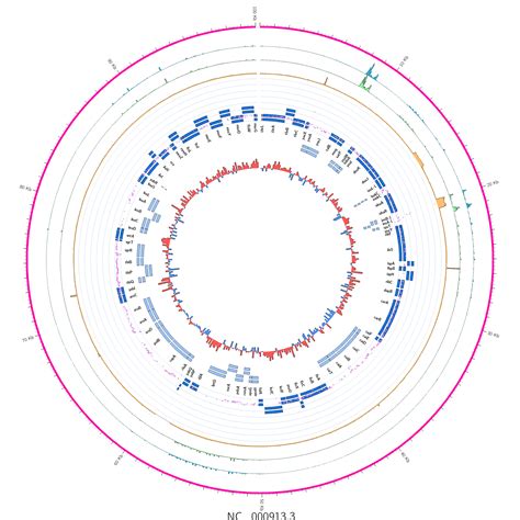Hands On Ploting A Microbial Genome With Circos Ploting A Microbial