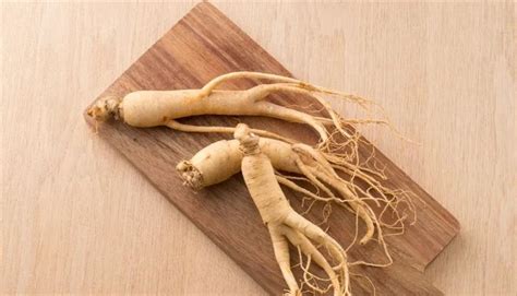 الجينسنغ يساعد الرياضيين على تعافي العضلات