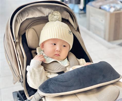 절충형 유모차 엄마와 아기가 편안하고 안전한것으로 네이버 블로그