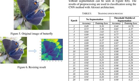 Figure 1 From Butterfly Image Identification Using Multilevel