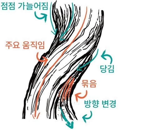 나무 그리는 법 그림 꿀팁사전 Ink Drawing Techniques Tree Sketches Nature Sketch