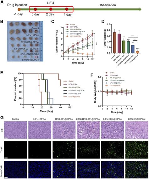 Interference With Redox Homeostasis Through A G6PD Targeting Self Assembled Hydrogel For The