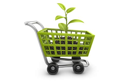 E Girls Green E Commerce How Can You Contribute