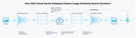 vector database use case image similarity search