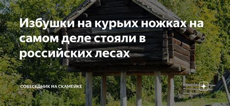 Избушки на курьих ножках на самом деле стояли в российских лесах Собеседник на скамейке Дзен