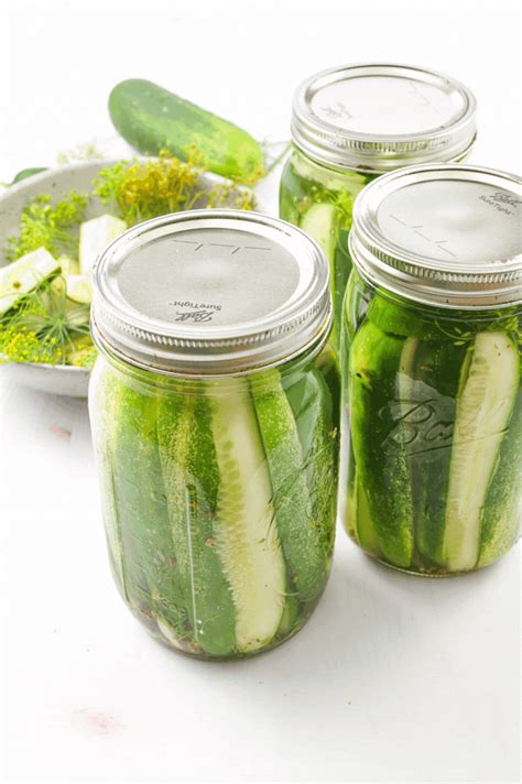 Best Easy Homemade Refrigerator Dill Pickle Recipe Recipe