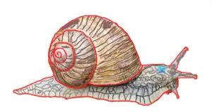 How To Trace An Image In GIMP How To Trace An Image In GIMP