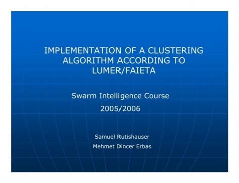 Implementation Of A Clustering Algorithm According To Lumer Epfl