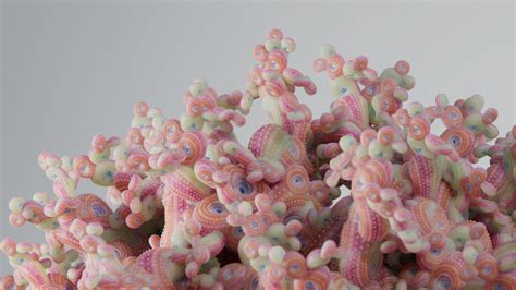 IBM Watson X Behance