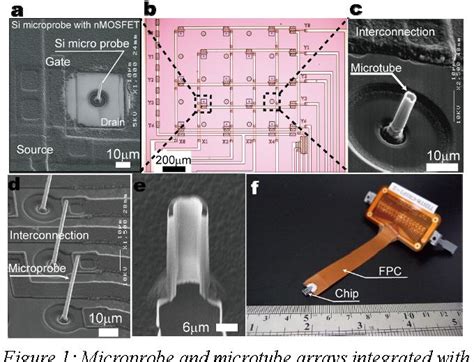 Figure 1 From Sub 5μm Diameter Silicon Microprobe And Silicon Dioxide Microtube Arrays For Low