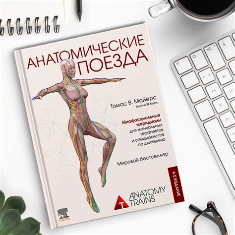 Книга Анатомические поезда 4 е издание Томас В. Майерс - купить от 4 ...