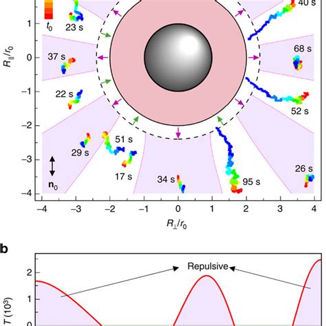 Elastic Interactions Of Colloidal Hexadecapoles A Angular Dependence Download Scientific