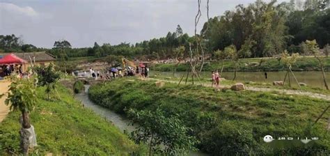 横州市微友今日一游云表下黎里龙母江同心圆风景区 搜狐大视野 搜狐新闻