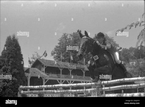 Csio Luzern 1974 Hugo Simon Auf Striptease Csio Lucerne 1974 Hugo