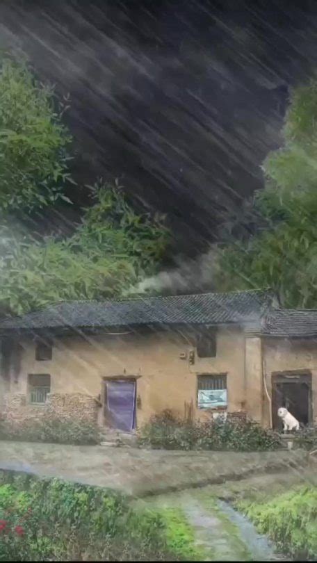 Yournaturehearth Tumbex