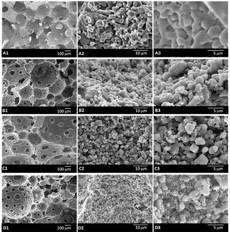 Sem Micrographs Of β Tcp And β Tcpal 2 O 3 Scaffolds A1 A2 A3