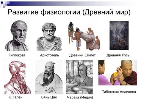 Физиология человека Лекция 1 Введение Часть 2 презентация онлайн