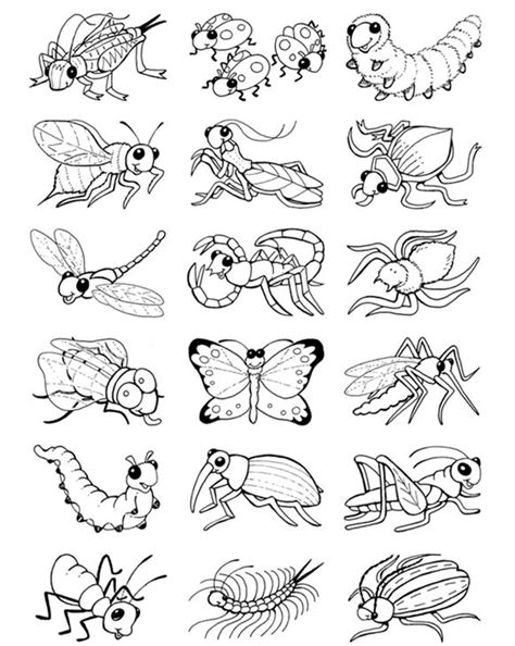 Printable Insect Coloring Pages