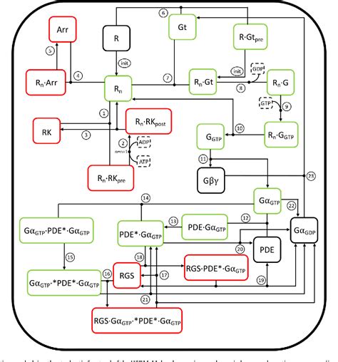 Figure 2 From A Hybrid Stochastic Deterministic Model Of Single Photon Response And Light