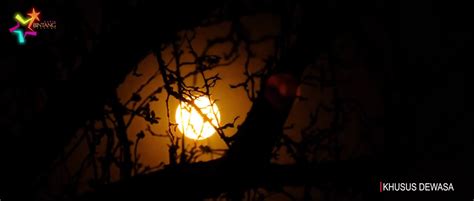 Film Kelas Bintang Mangga Muda Part 2