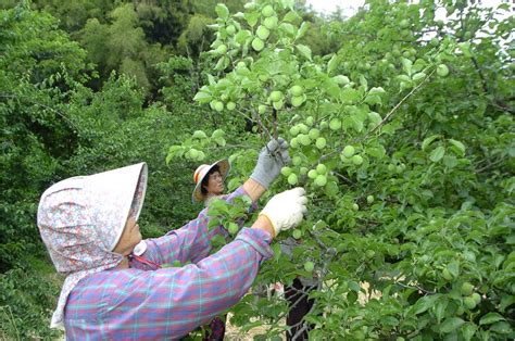 청주시 난 니가좋아 널 깨물어주고싶어 전국을 역대급 오글거림의 구렁텅이로 몰아넣고는