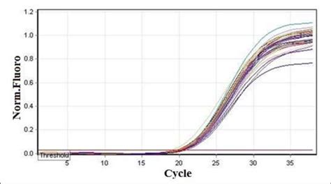 Amplification Plots Of A Mir 122a Gene By Rt Qpcr Download Scientific Diagram