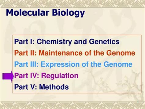PPT Molecular Biology PowerPoint Presentation Free Download ID 4808304