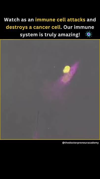 swetha s on linkedin i recently watched a video there i got new perspective and it let me…