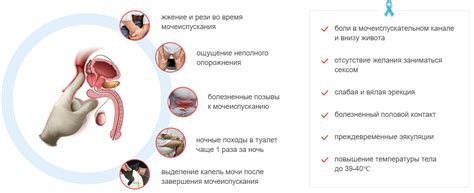 Аденофрин препарат от простатита цена инструкция купить на официальном сайте производителя