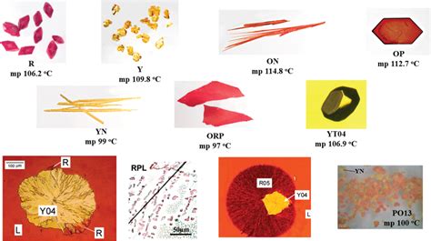 Cracking The Code Of Polymorphism In Organic Crystals A Breakthrough