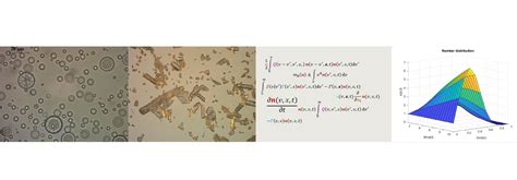 Pbm Population Balance Modelling On Linkedin We Are Glad To Announce That The Special Edition