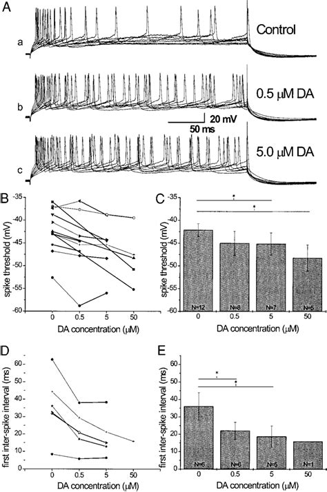 Dopamine Increases The Excitability Of Layer 3 Pyramidal Cells A Download Scientific Diagram