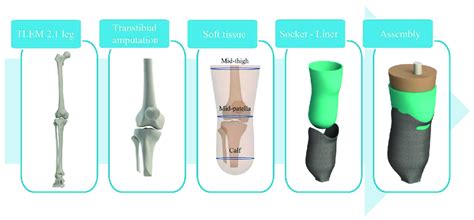 Modeling Process Of The Generic Numerical Model Geometry For The