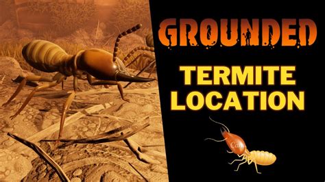 Where To Find Termites In Grounded All Termite Den Locations Youtube