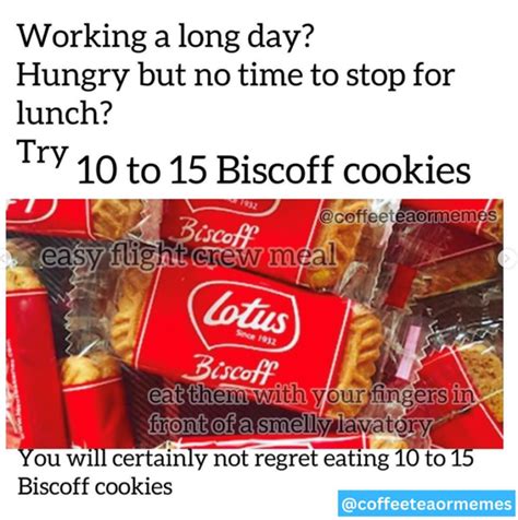 30 Flight Attendant Memes For Angry Stews Taking No Lip From Passengers