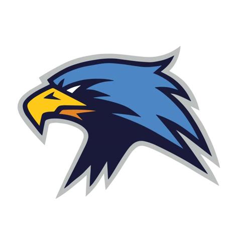 Blue Hawks Logo