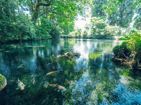 明神池名水公園 観光スポット 公式熊本県観光サイト もっともーっとくまもっと