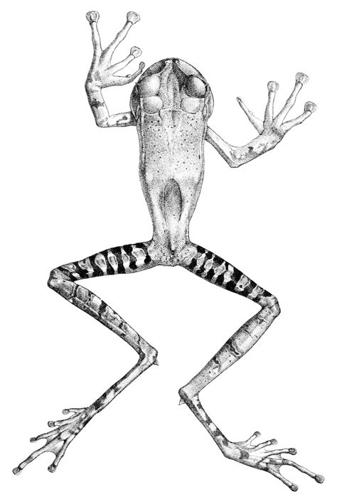 Clipart Panda Free Clipart Images