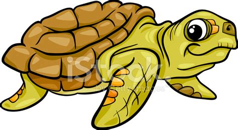 바다 거북이 동물 만화 일러스트 레이 션 스톡 벡터 FreeImages