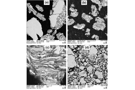 The Sem Micrographs Of Cross Sectional Microstructure Of Powder