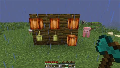 Tips And Computer Games Minecraft How To Plant Cocoa Cocoa Beans